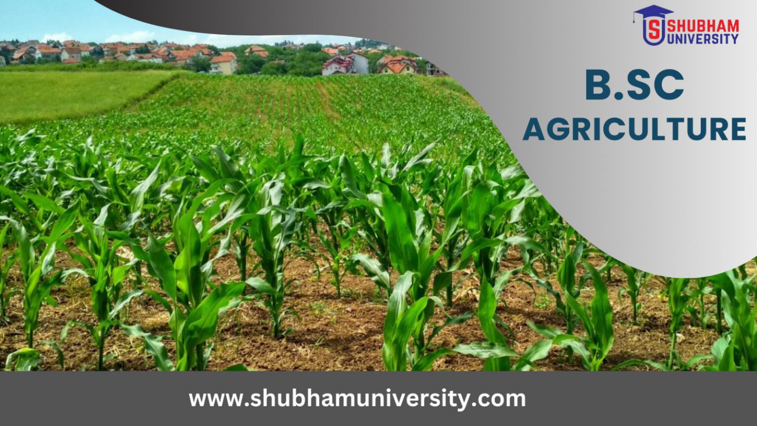 B.Sc Agriculture Course College in Bhopal - Shubham University